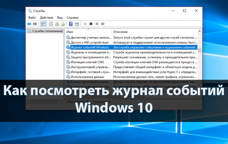 Как включить светлую тему в Windows 10 - Windd.pro